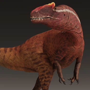 Discuss Everything About Dinopedia | Fandom