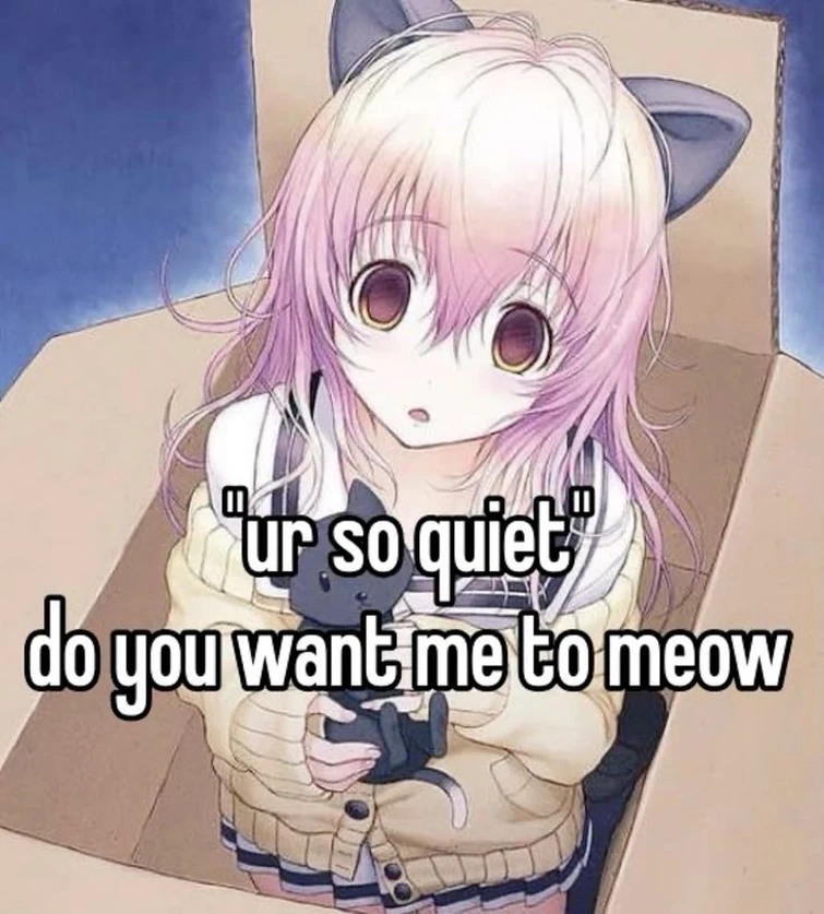 squid chat center: wiki revival | Fandom