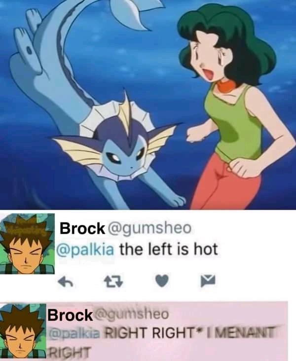 brock what r u up 2 | Fandom