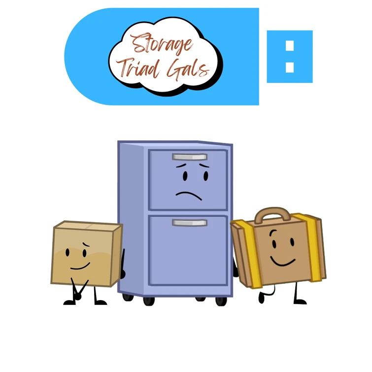 Following my previous fanon idea, here's another one: The Storage Triad Gal Pair | Fandom