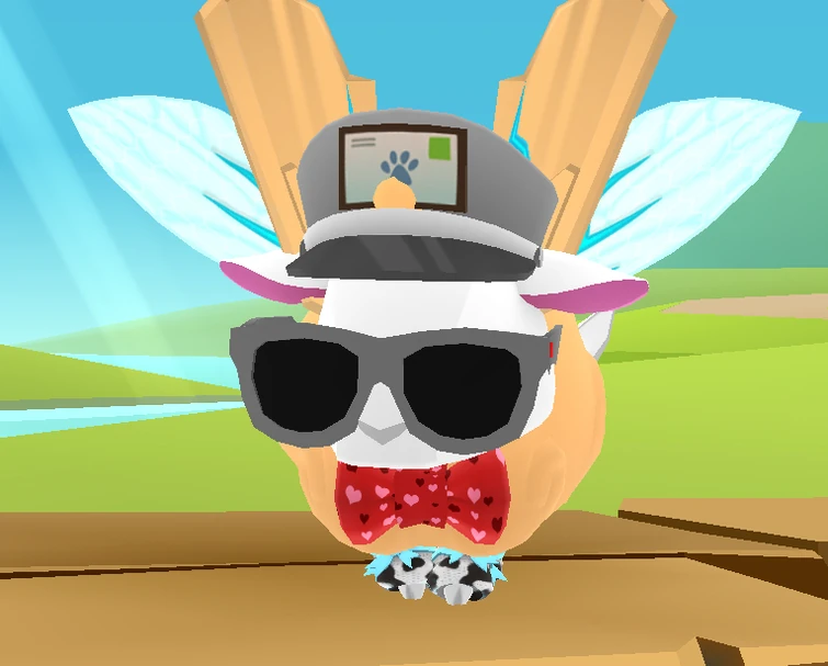 Sheep feet!!!!!! | Fandom
