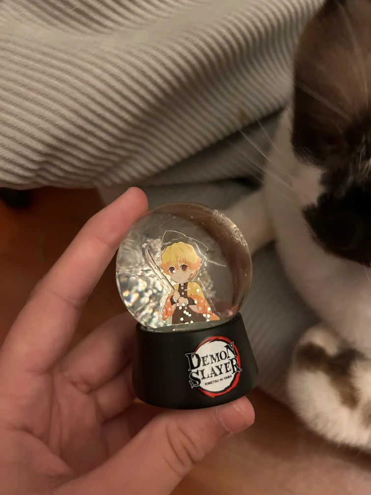 zenitsu in a snow globe !! 🤯 | Fandom