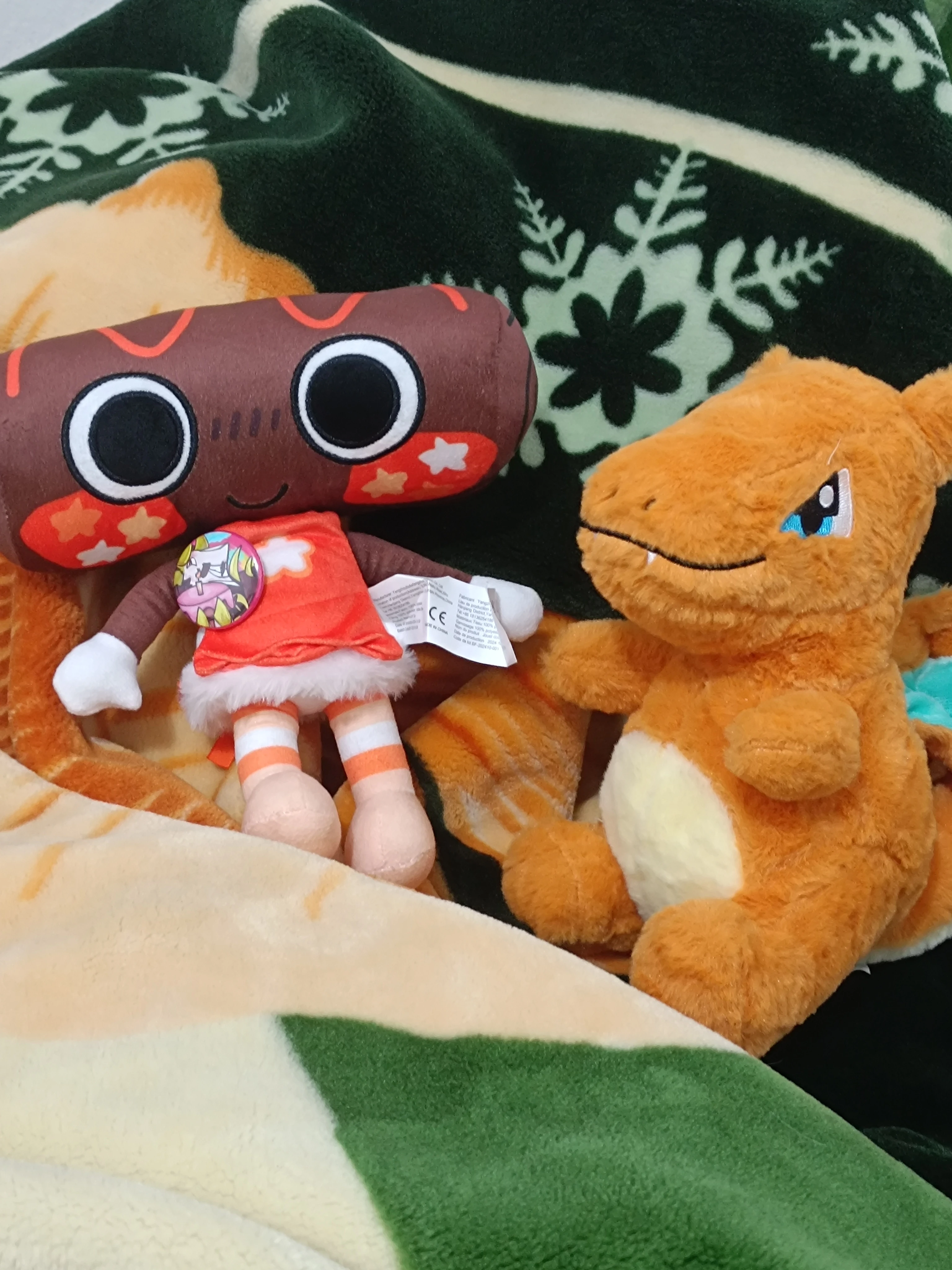 Comso and his charizard | Fandom