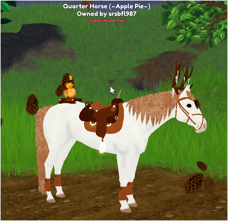 Swapping RARE COAT White Qh IUH | Fandom