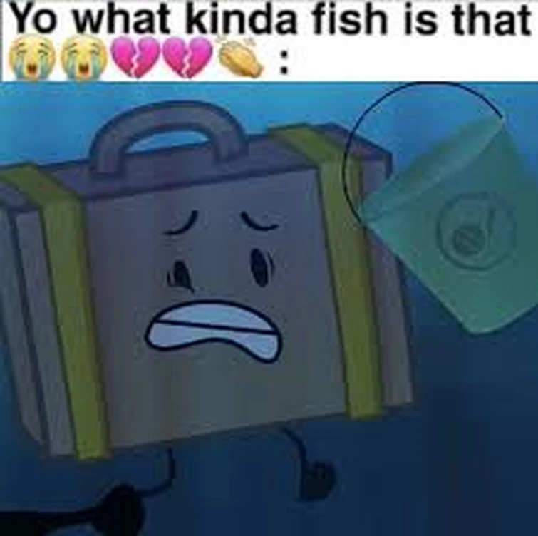 NEW RANDOM IMAGE CHAIN AT MY MESSAGE WALL | Fandom