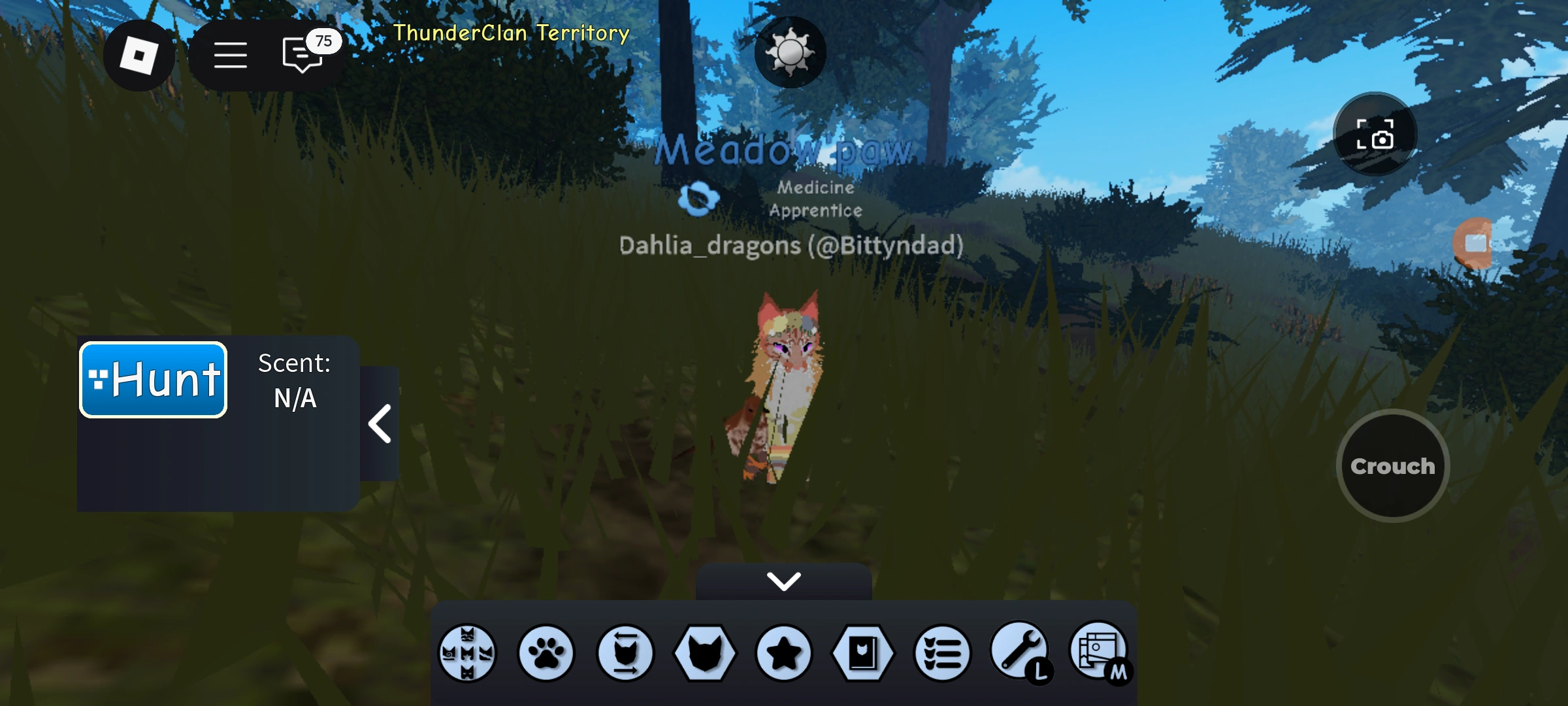 Npc confusion | Fandom