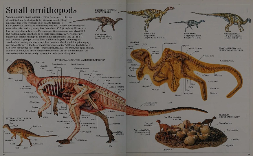 How Bad Is It? Part 52 | Fandom