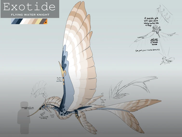 - EXOTIDE ISNT A SKYQUATIC? | Fandom