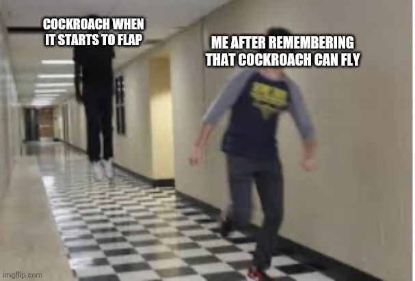 Cockroach meme | Fandom