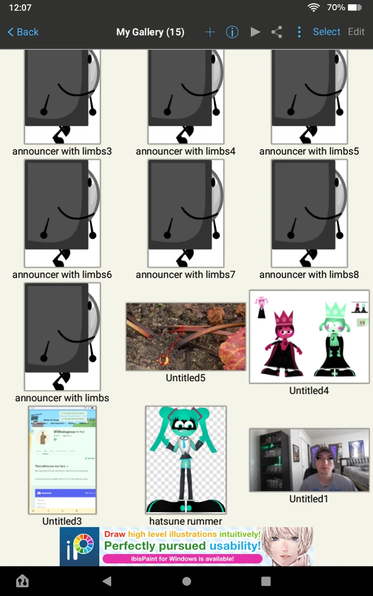 Ibis paint gallery | Fandom