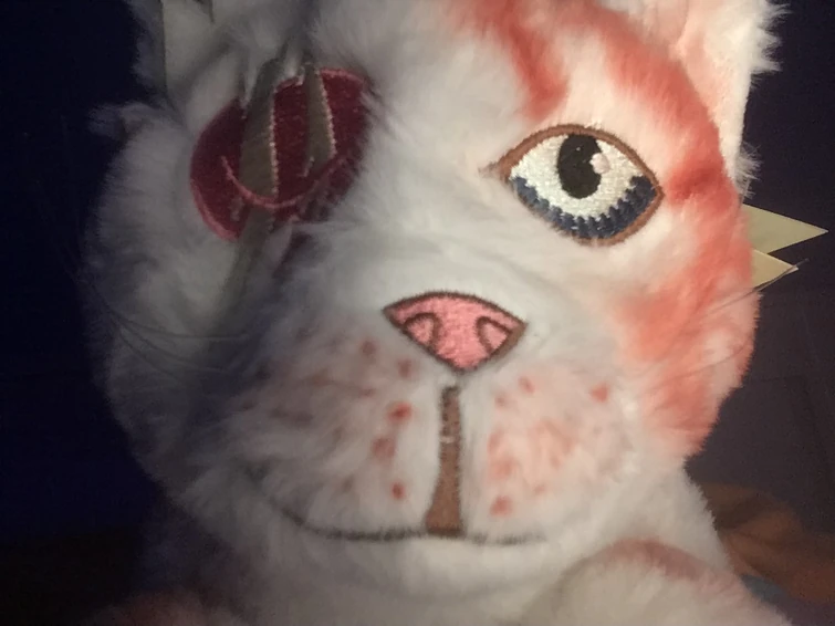 SHES HERE 🎉🎉🎉 | Fandom