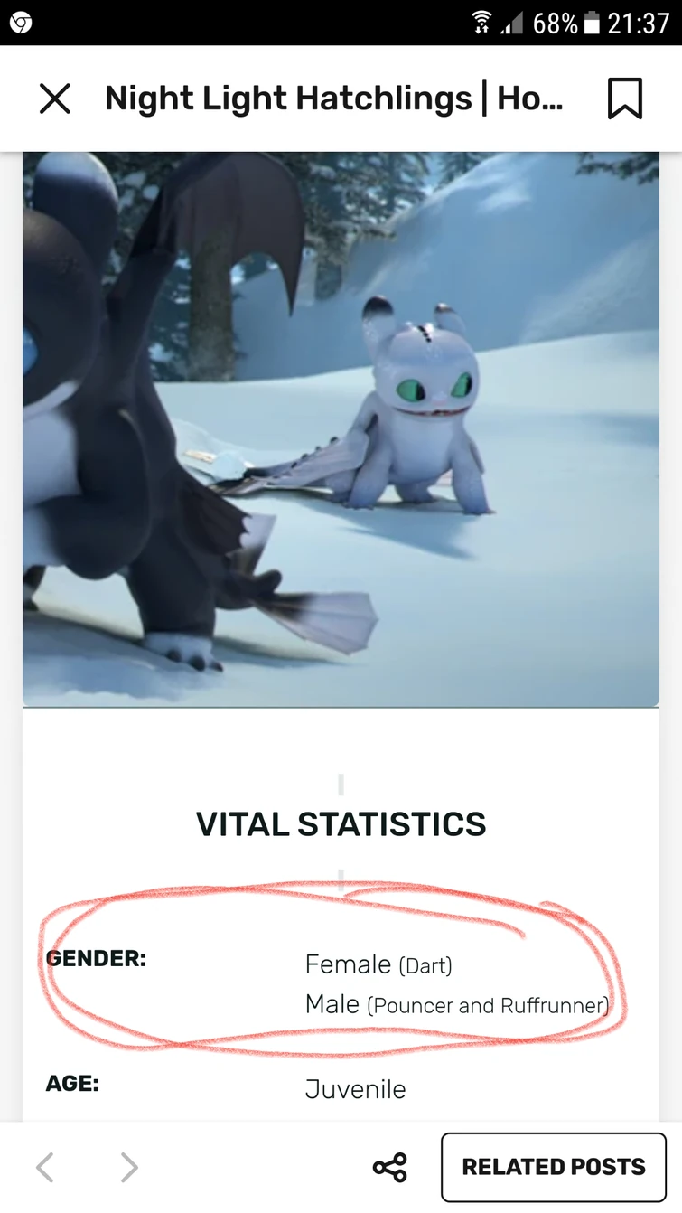 Just asking;) what's the gender of dart(Toothless offspring the blue ...