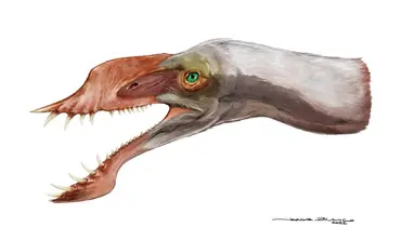 Discuss Everything About Prehistoria Fandom | Fandom