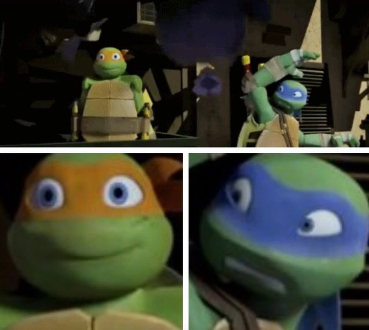 TMNT Meme Of The Day | Fandom