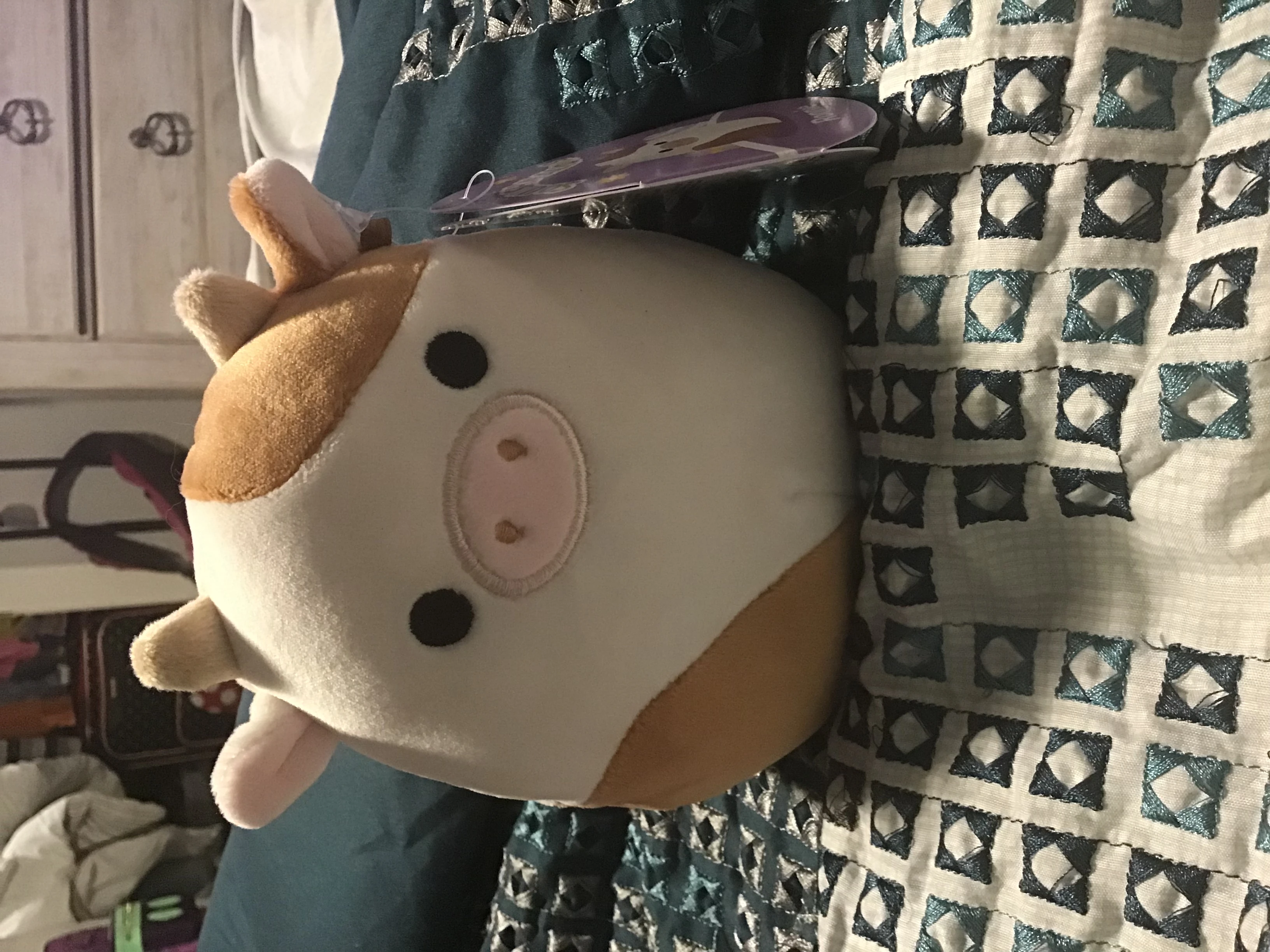 Got a Ronnie today! | Fandom