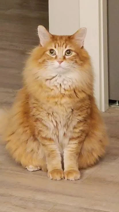 Me when I have a STRONG gut feeling about someone but I don’t want to ...