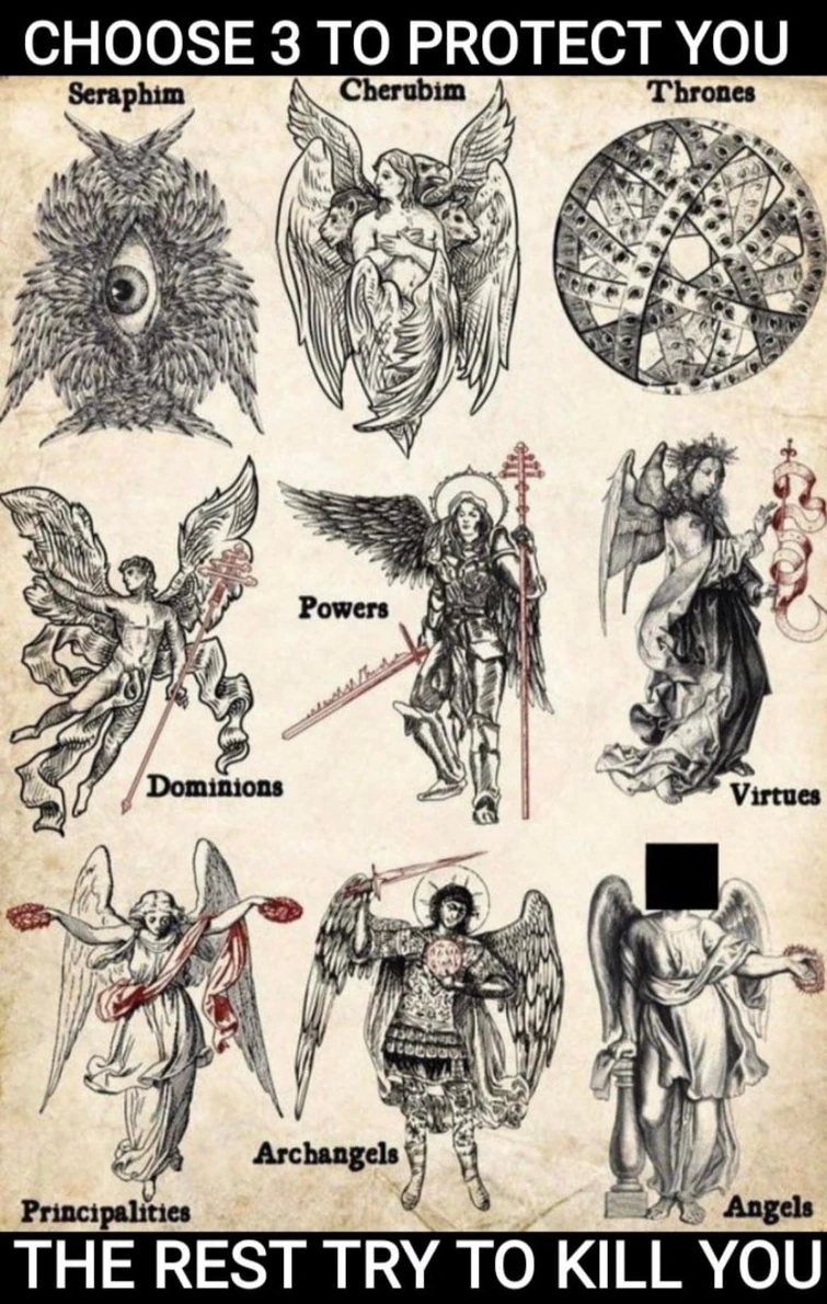Choose your warrior | Fandom