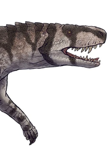 Discuss Everything About Dinopedia | Fandom