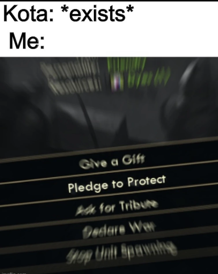 Kota Meme’s vol.1 (I’ll do the comedy ones on Wednesday) | Fandom