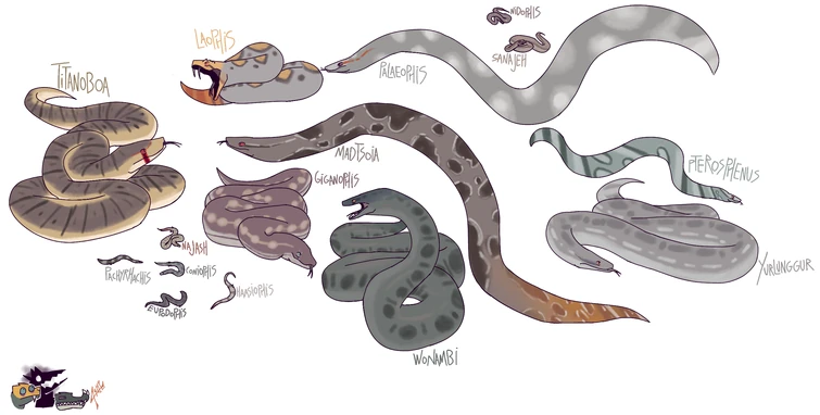 alright snake time bois! (not really size-accurate) | Fandom