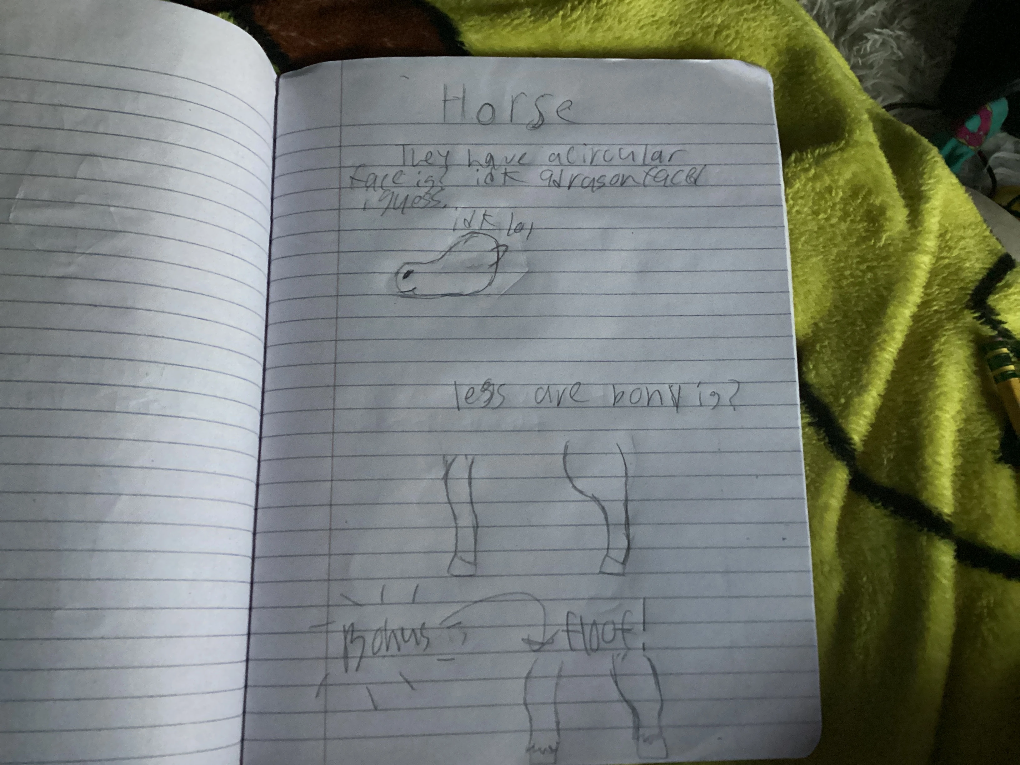 Anatomy Journal Day 3 | Fandom