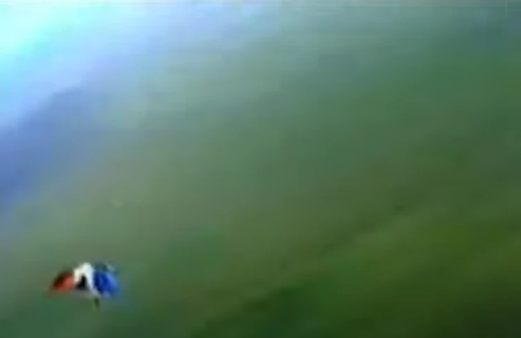 sonic is skydiving | Fandom