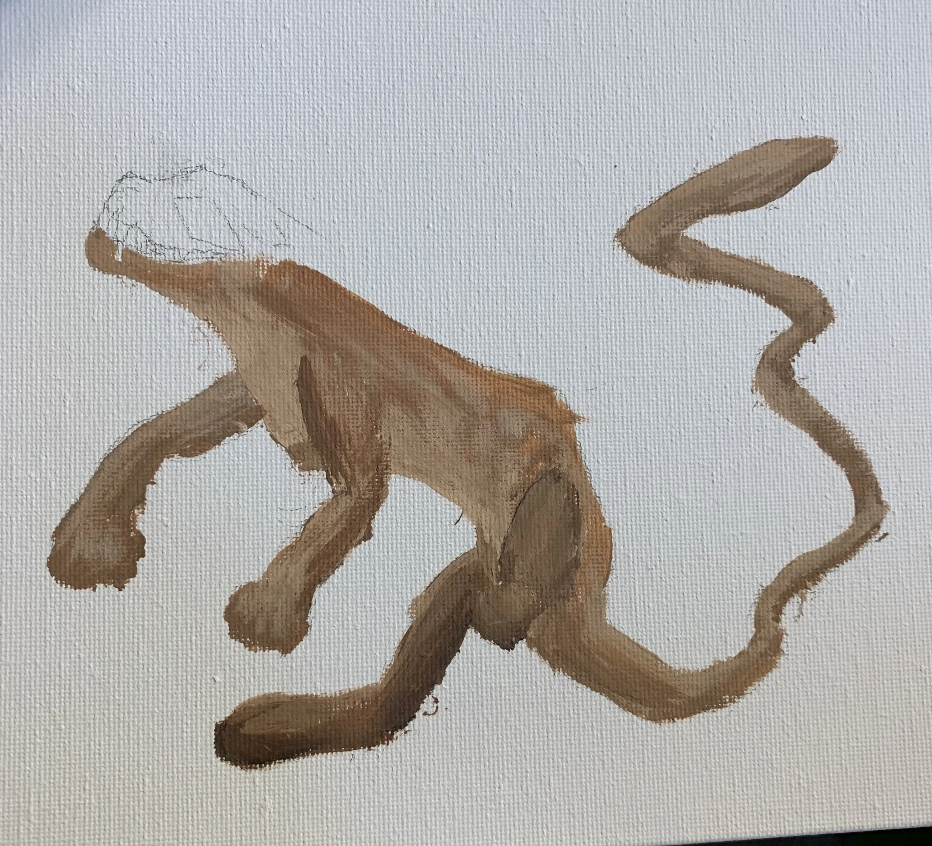 stripeless tiger | Fandom