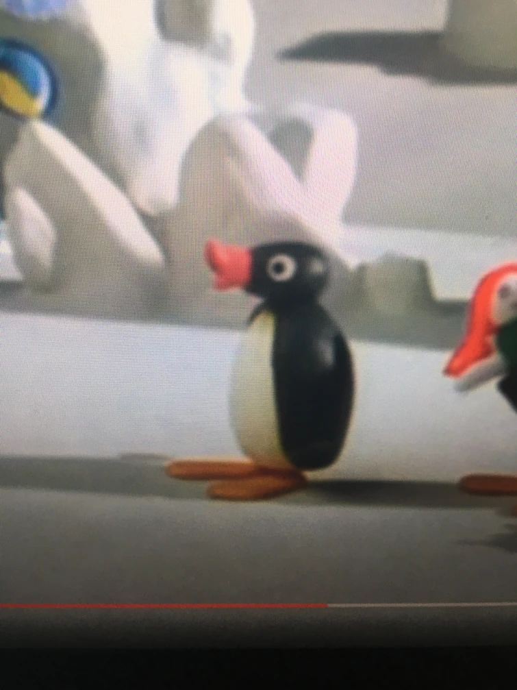 Discuss Everything About Pingu Wiki | Fandom