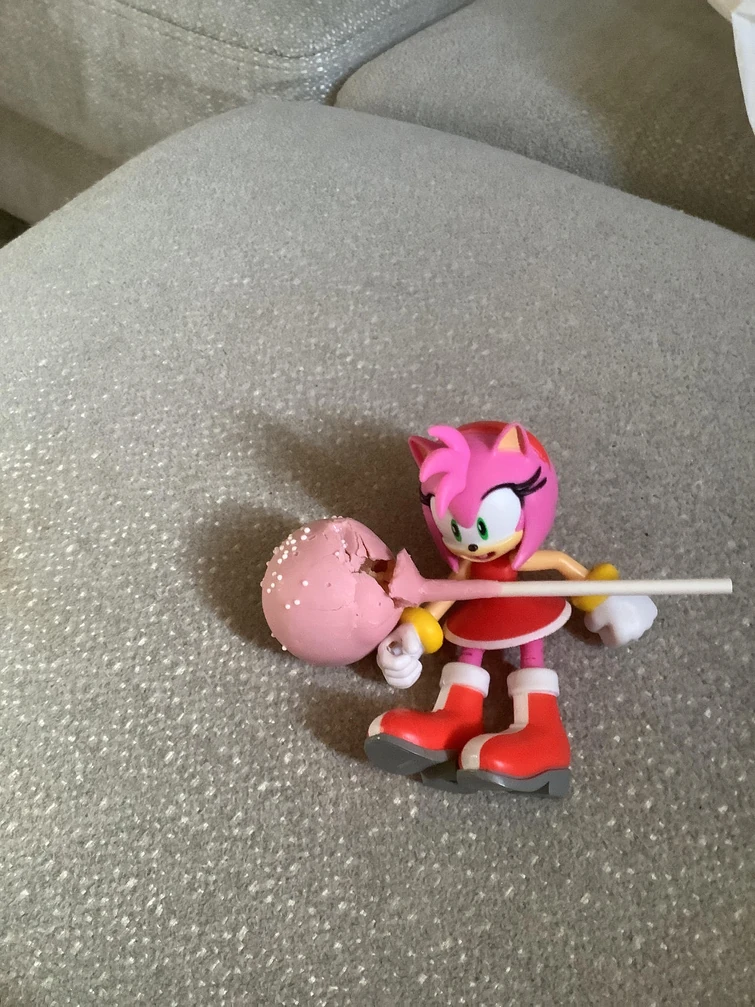 Amy Rose with my cake pop | Fandom