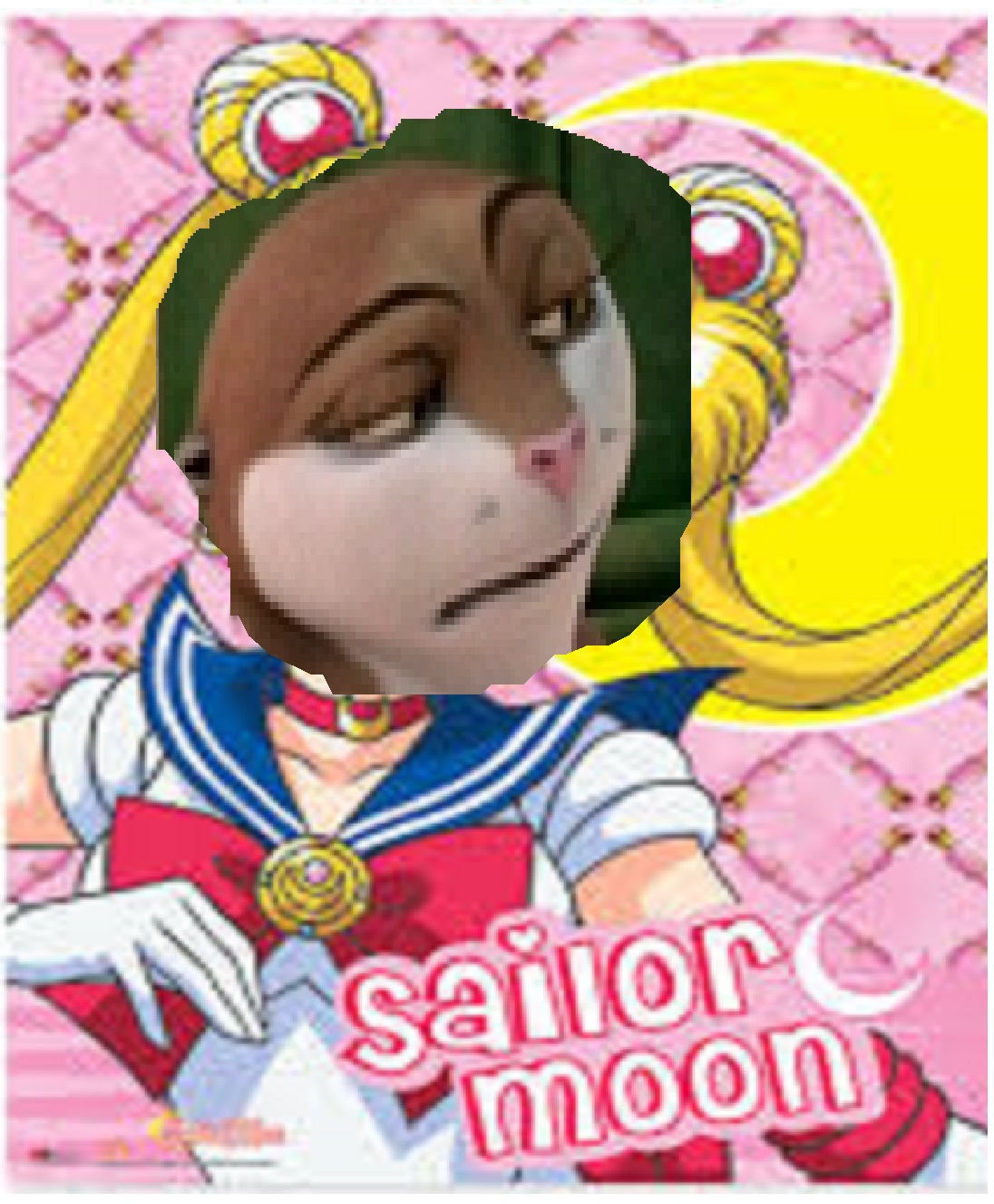 Category:Sailor Moon TV Spoofs | 161Movies Wiki | Fandom Category:Sailor Moon TV Spoofs | 161Movies Wiki | Fandom