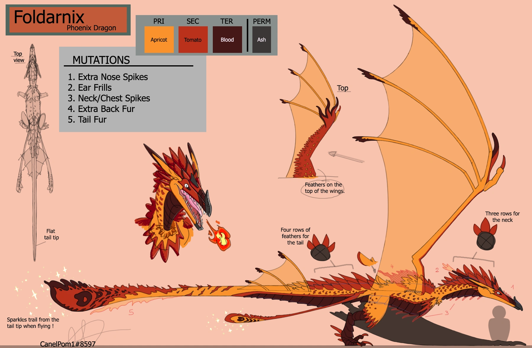 Finished phoenix dragon concept | Fandom