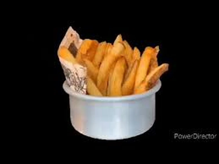 fry | Fandom