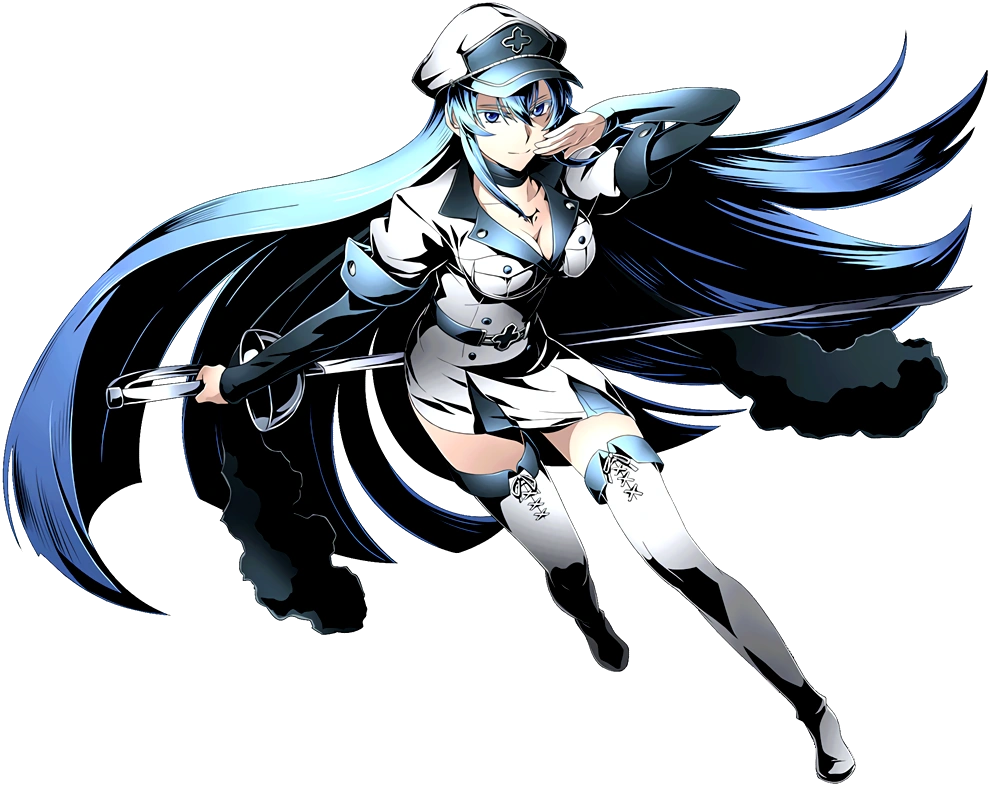 If Esdeath comes back to Death Battle, who do you want her to fight ...