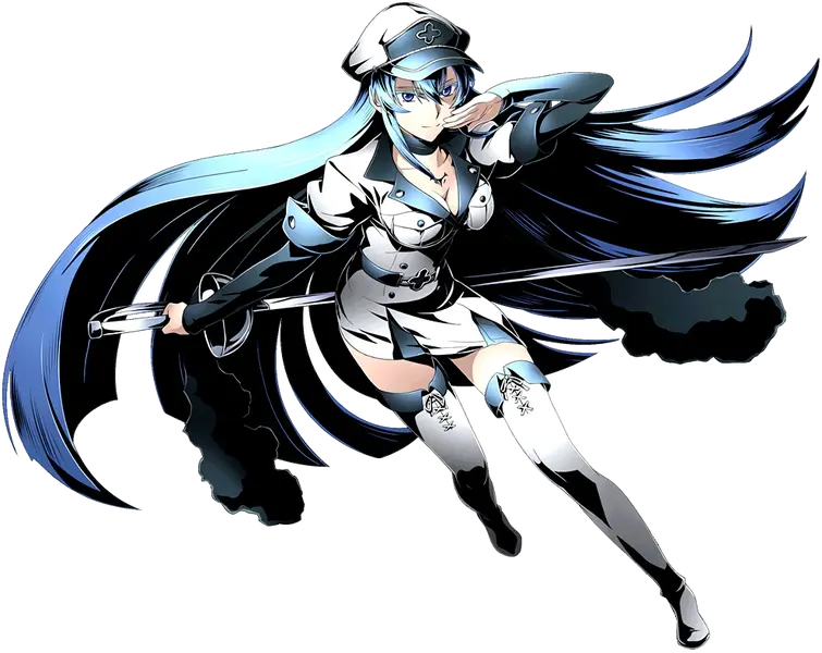 If Esdeath comes back to Death Battle, who do you want her to fight ...
