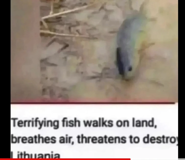 More John Mercer head cannon | Fandom