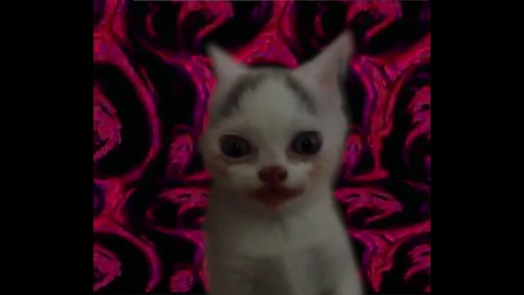 giygas cat for the millionth time | Fandom