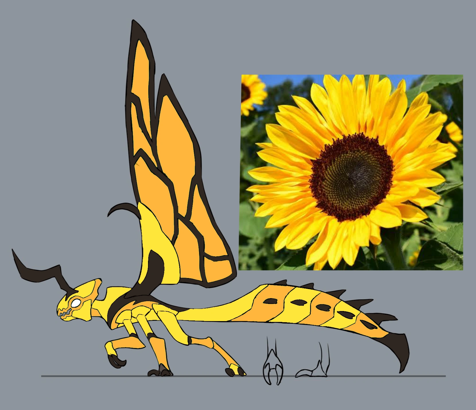 Flower Themes! | Fandom