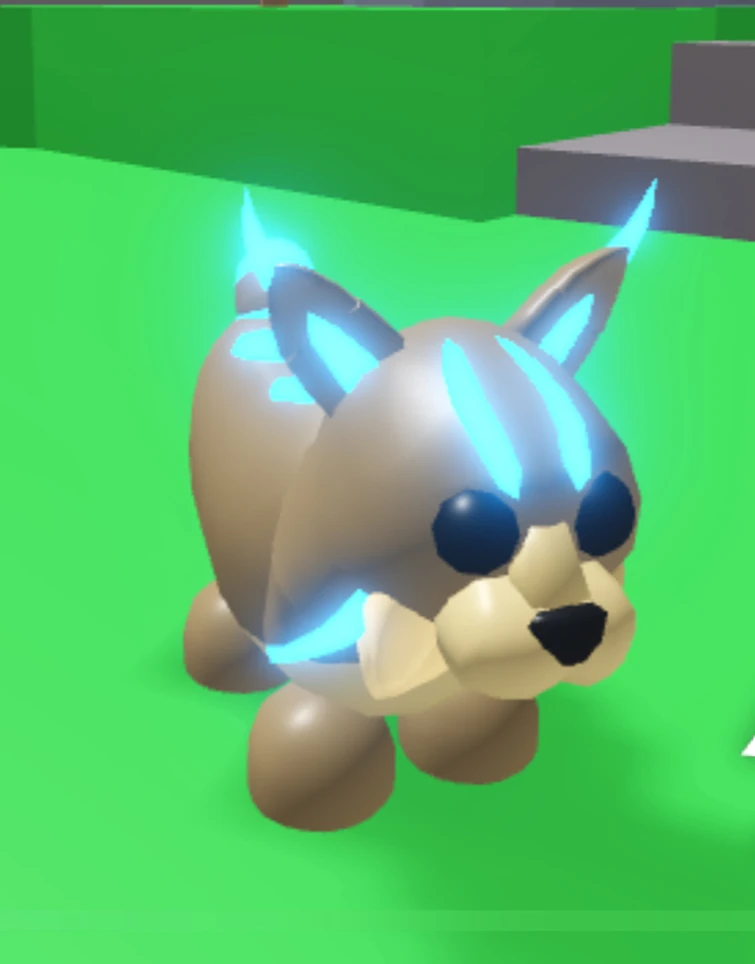 Favorite pets!!! | Fandom