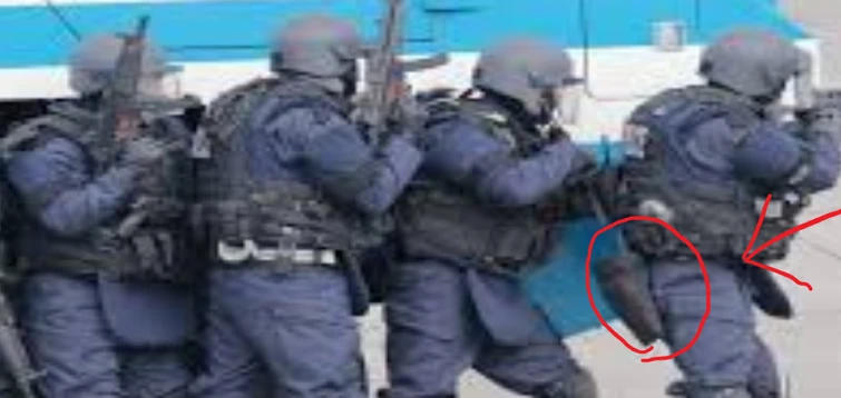 Japanese National Police Agency Special Assault Team | Fandom