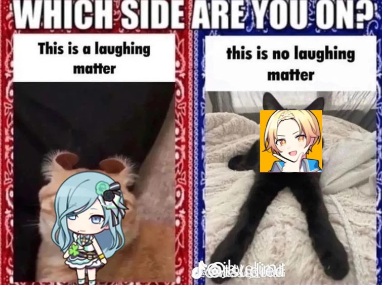 THE LONG AWAITED… POLYCULE MEMES PART 3!!! | Fandom