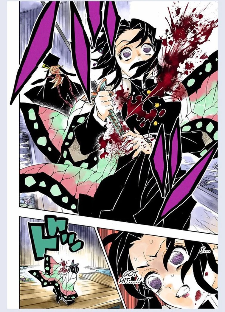 seeing Shinobu calms me down | Fandom