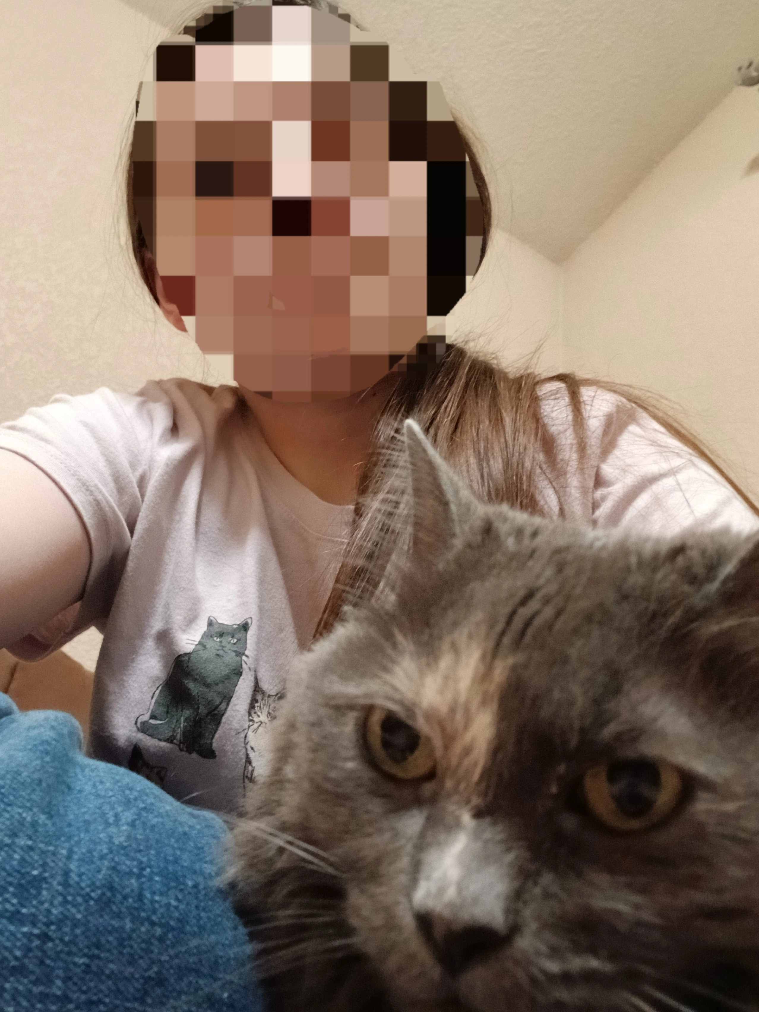 I want fish I love fish | Fandom