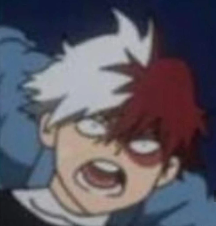 TODOROKEEEEE | Fandom