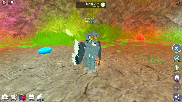 Discuss Everything About Felandia Wiki | Fandom