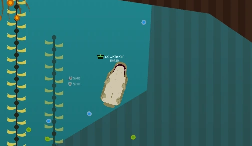 King Of The Swamp | Fandom