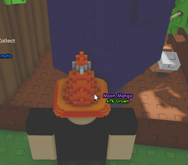 What tier is Moon Mango lol | Fandom