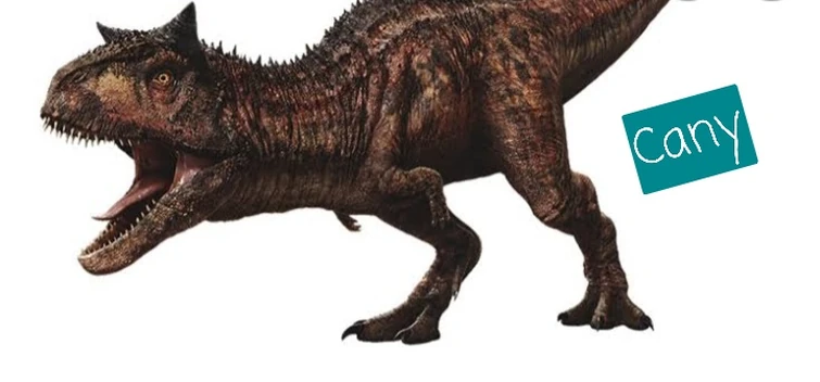 My first OC | Fandom