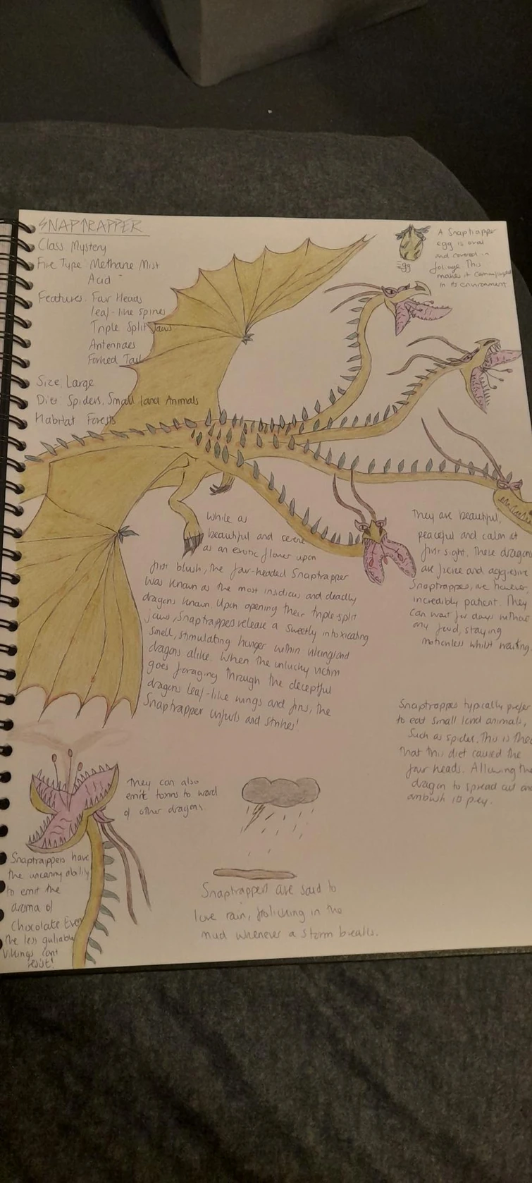 My Dragon Manual: I finally finished Mystery Class | Fandom