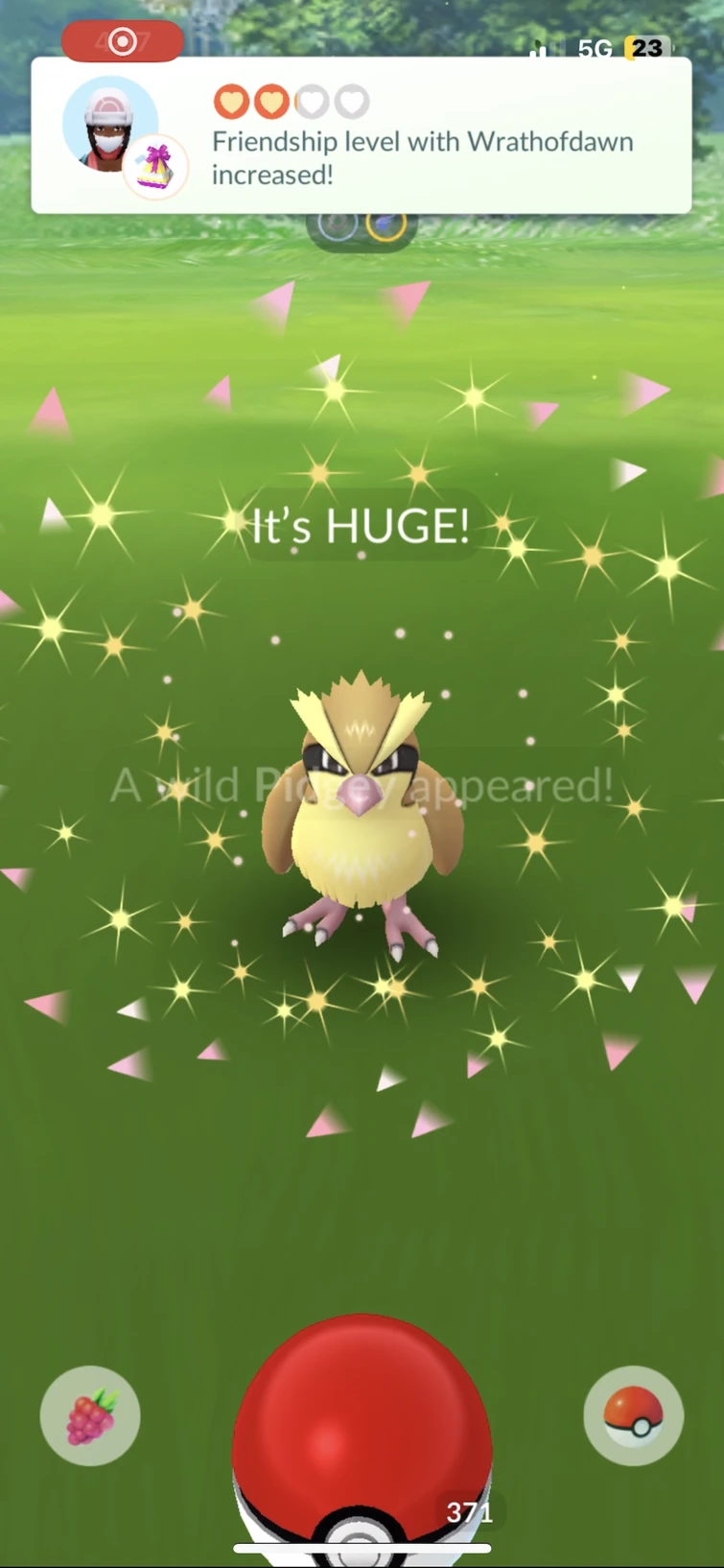 Finally! Shiny Pidgey! | Fandom