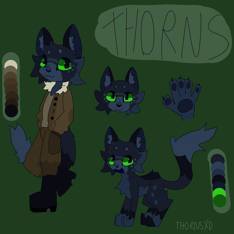 thorns oc ref sheet made REAL | Fandom